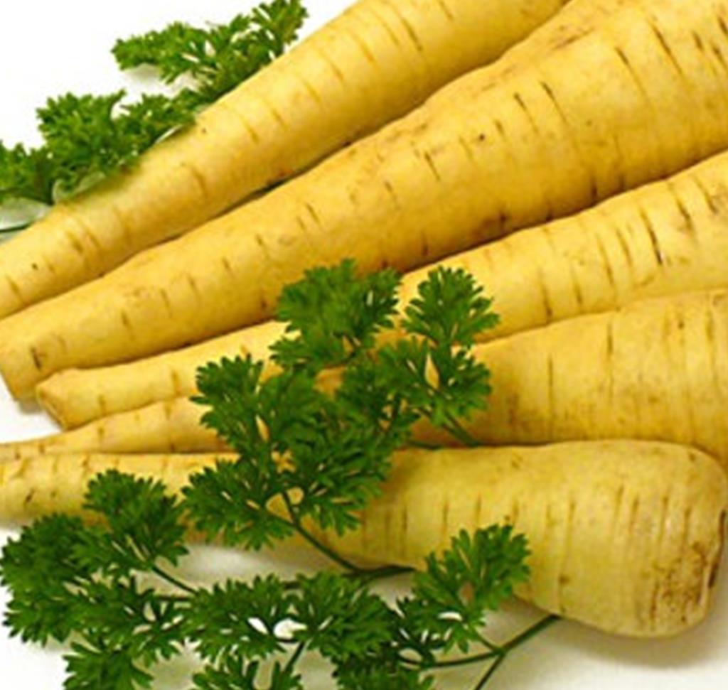 Pastarnac | Вивасан